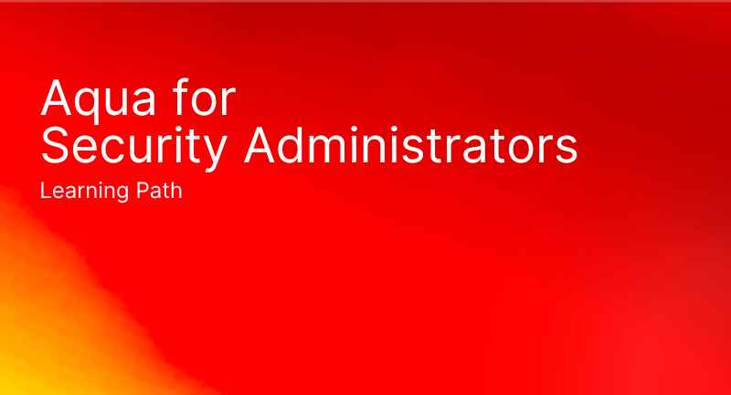 Aqua Security Aquademy