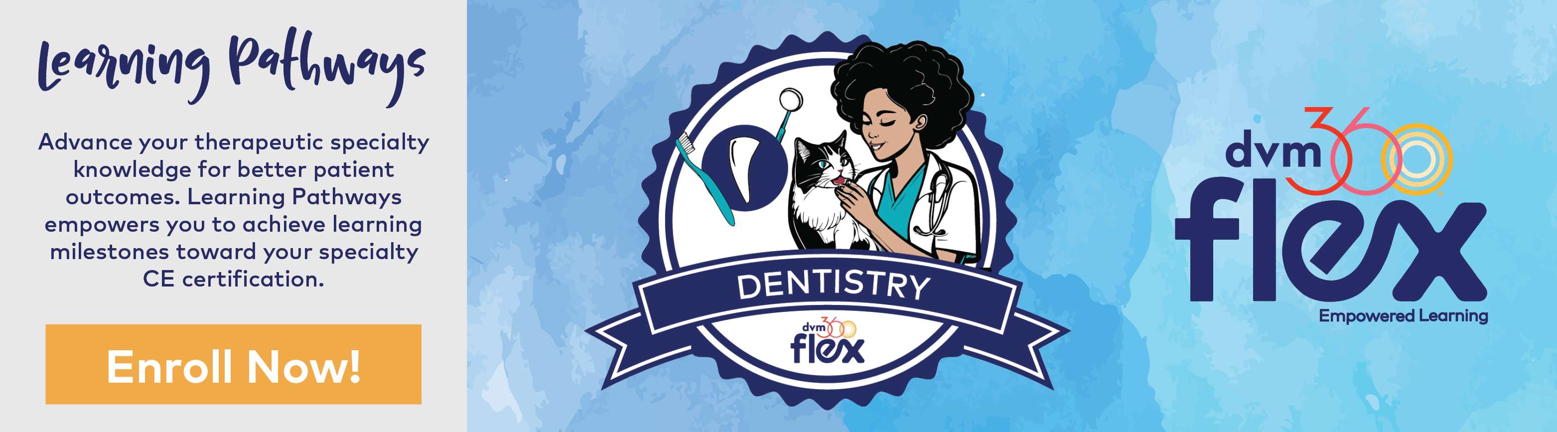 DVM360 CE | Veterinary Continuing Education