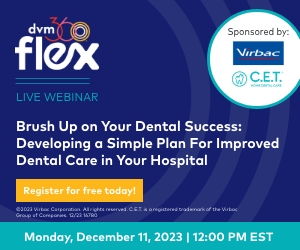 DVM360 CE | Veterinary Continuing Education