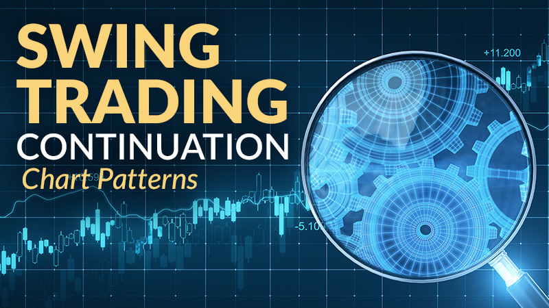 VectorVest University