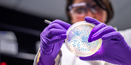 Infection Prevention and Epidemiology Learning Center | myCME