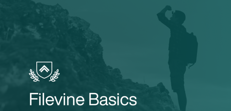 Filevine