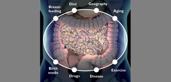 Evolution of the Intestinal Microbiome: Laying the Foundation for Child ...