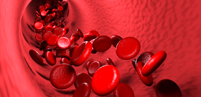 Recognizing and Remediating von Willebrand Disease