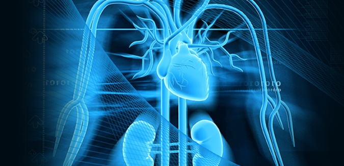 Managing CVD and Renal Disease in T2DM