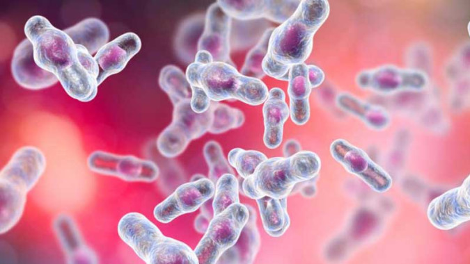 Ask The Experts: Understanding and Preventing Clostridioides difficile ...