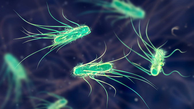 Managing Shiga toxin-producing E coli Infections | myCME