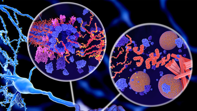 pTau and Neurofibrillary Tangles as Part of AD Detection | myCME