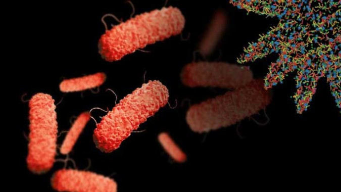 Recurrent C. difficile Infection: It's a Problem, Let's Get Serious