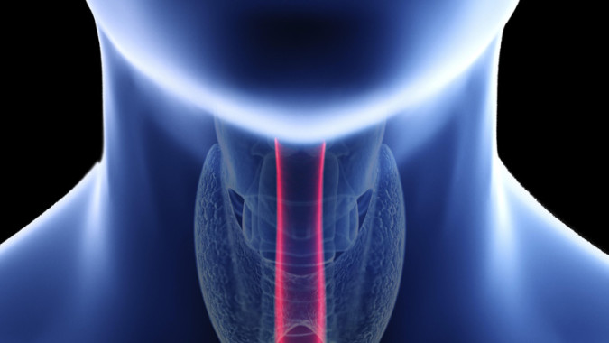 Eosinophilic Esophagitis: An Emerging Disease | myCME Eosinophilic Esophagitis: An Emerging Disease | myCME