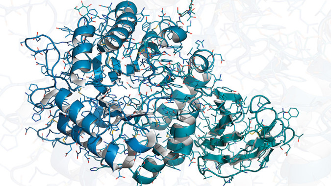Fabry Disease Early Diagnosis and Treatment | myCME