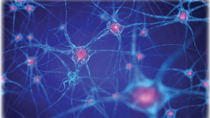 Clinical Pearls in Multiple Sclerosis (MS): Exploring Emerging Science ...