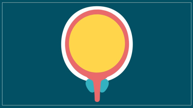 Case Discussions in OAB, BPH, and More | myCME