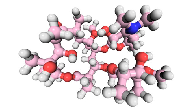 Macrolide Drug Class Review