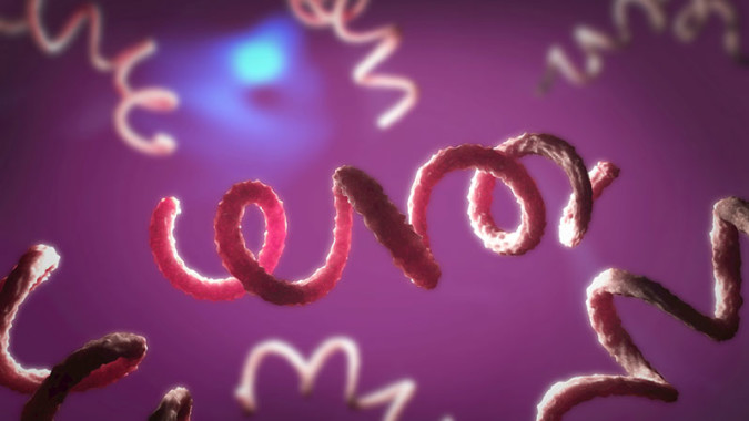 Syphilis: Modern Treatment and Prevention Strategies | myCME