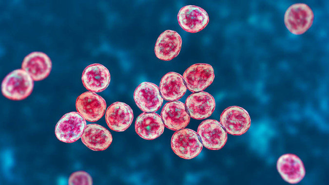 MRSA Skin and Soft Tissue Infections | myCME