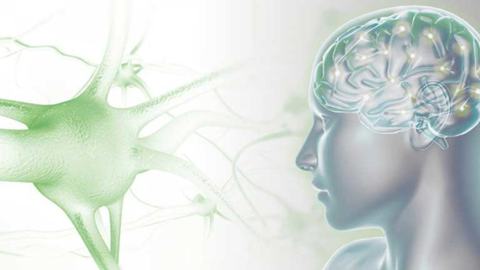 Rational MS Therapy Selection