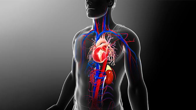 Cardiorenal Metabolic Disease: A Multipronged Approach | myCME