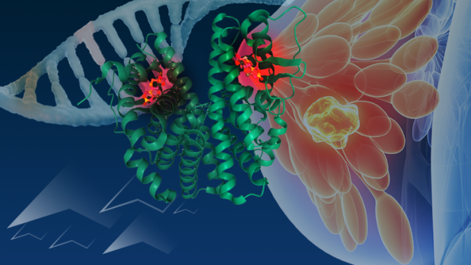 The Use of SERDs in Managing HR+/ HER2- Breast Cancer | myCME