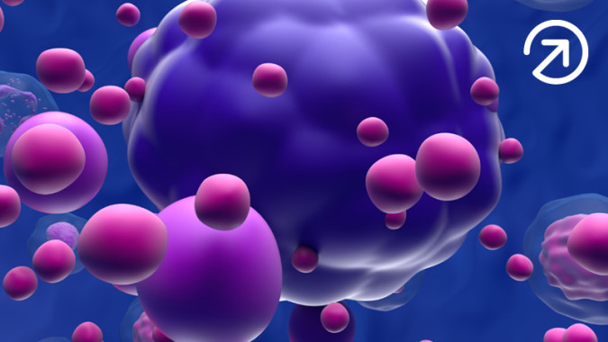 CELMoDs and Therapies to Combat Resistance in Multiple Myeloma ...