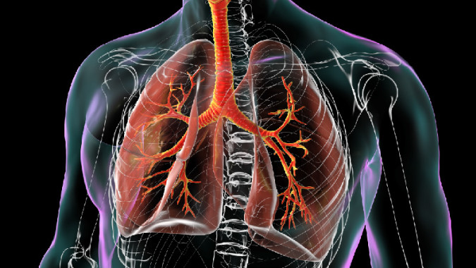 Inflammatory Airway Disease: Role of IL-33 | myCME