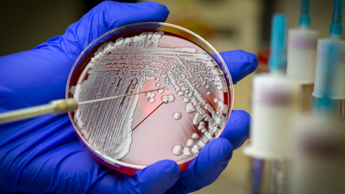 MRSA Antibiotic Drug Review | myCME