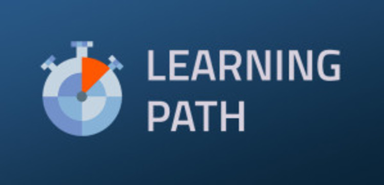 DataRobot University