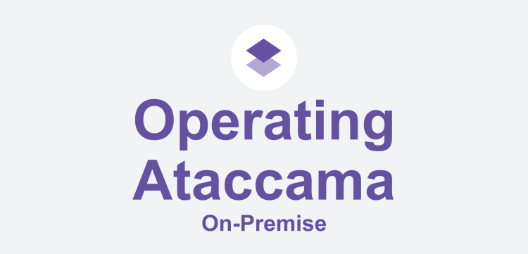 Ataccama Corporation
