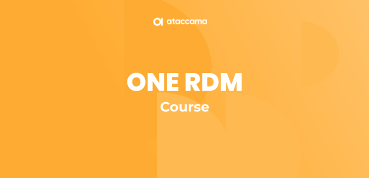 Ataccama Corporation