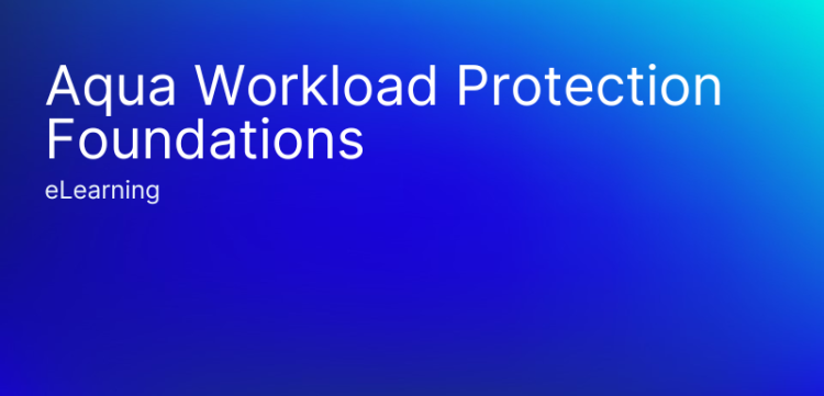 Aqua Security Aquademy