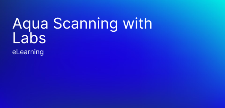 Aqua Security Aquademy