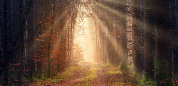 International Institute for Learning, Inc.