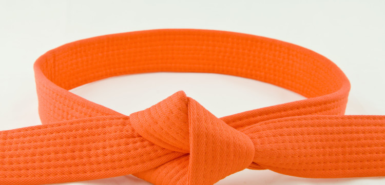 International Institute for Learning, Inc.