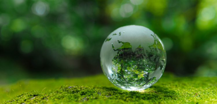 International Institute for Learning, Inc.