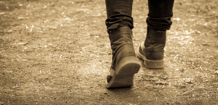 International Institute for Learning, Inc.