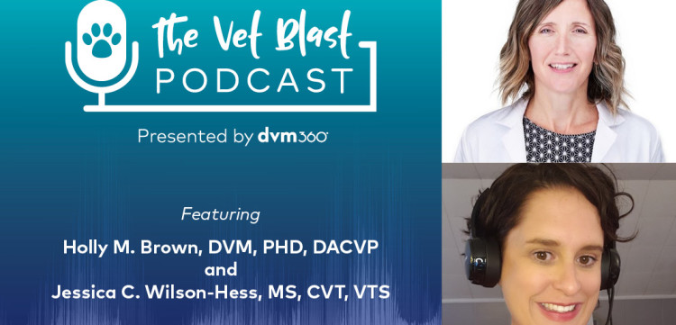 dvm360 Flex Podcasts