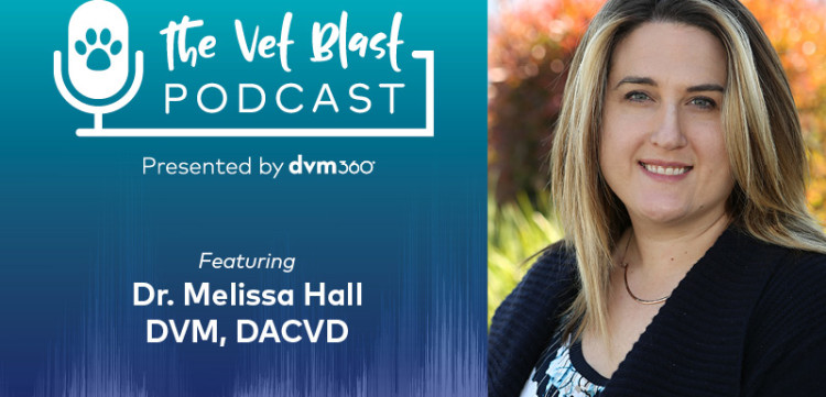 DVM360 CE | Veterinary Continuing Education