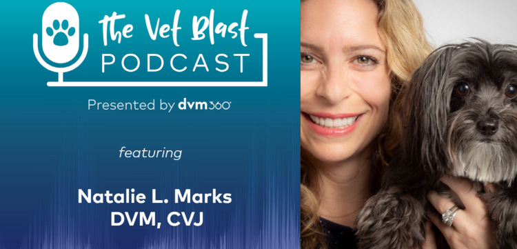 DVM360 CE | Veterinary Continuing Education