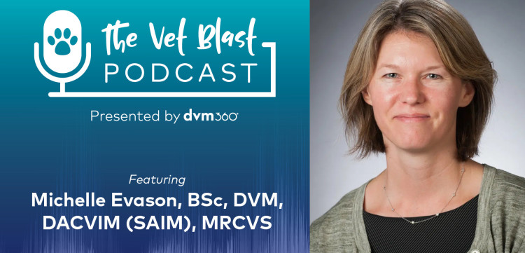 dvm360 Flex Podcasts