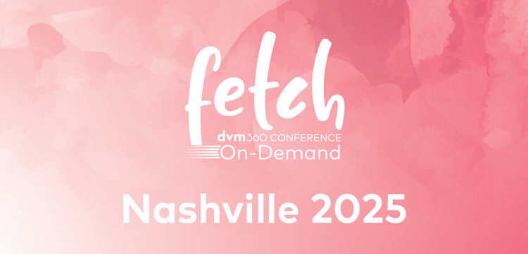 DVM360 CE | Veterinary Continuing Education