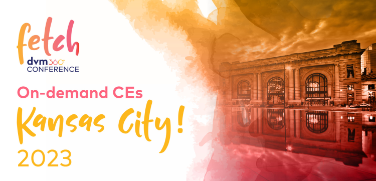 Fetch Conference On-Demand