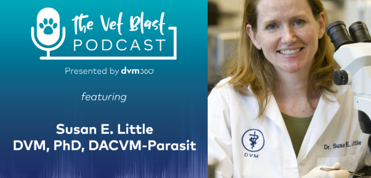 DVM360 CE | Veterinary Continuing Education