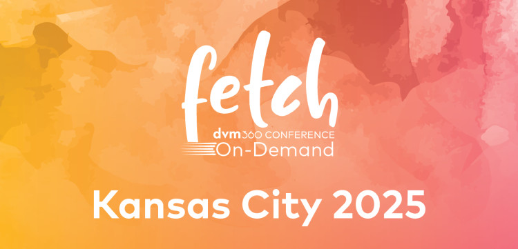Fetch Conference On-Demand