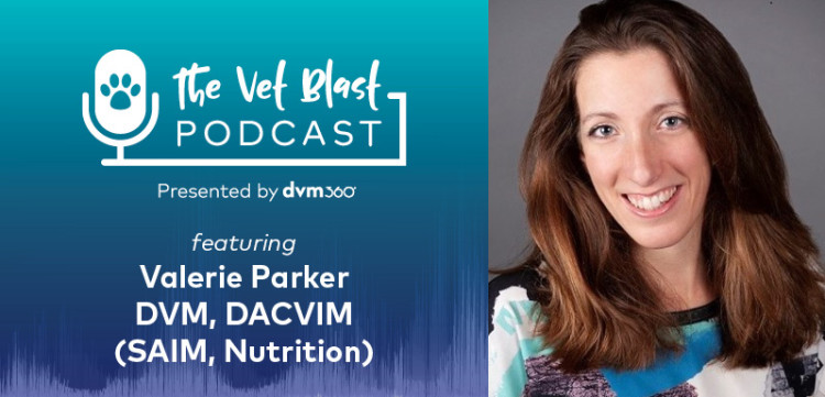 dvm360 Flex Podcasts