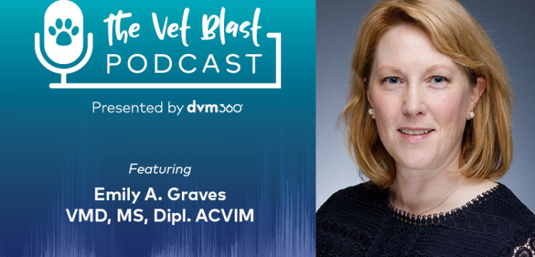 DVM360 CE | Veterinary Continuing Education