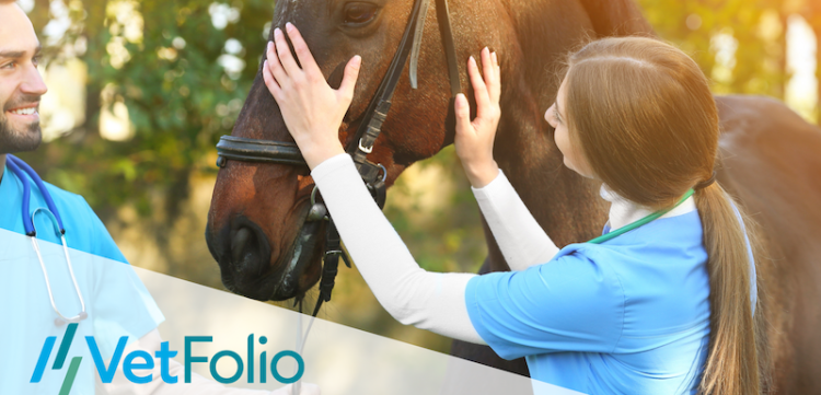 VetFolio