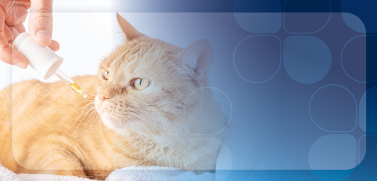 Pharmacy Times Continuing Education - PTCE