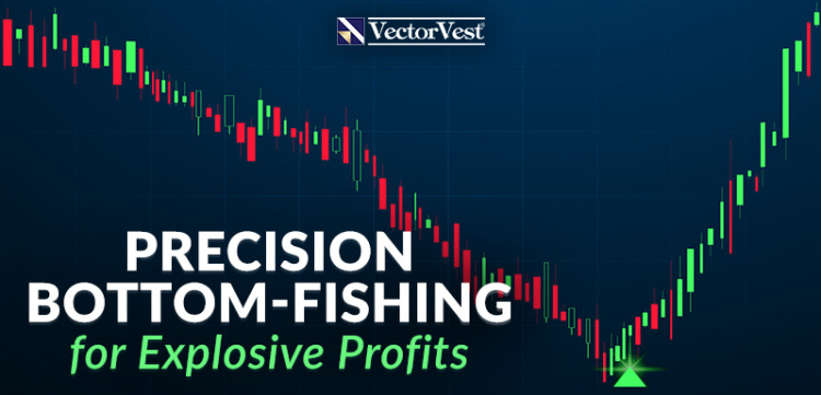 vectorvest seminar