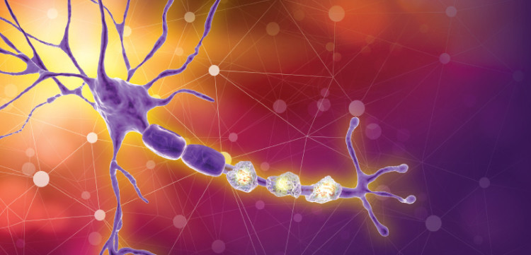 Neurology CME - Free Neurology Courses Online | myCME