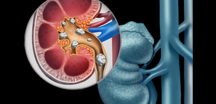 Educational Series Collection | myCME